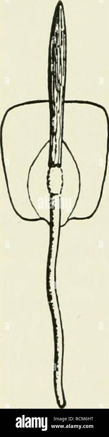 Transverse orientation hi-res stock photography and images - Alamy