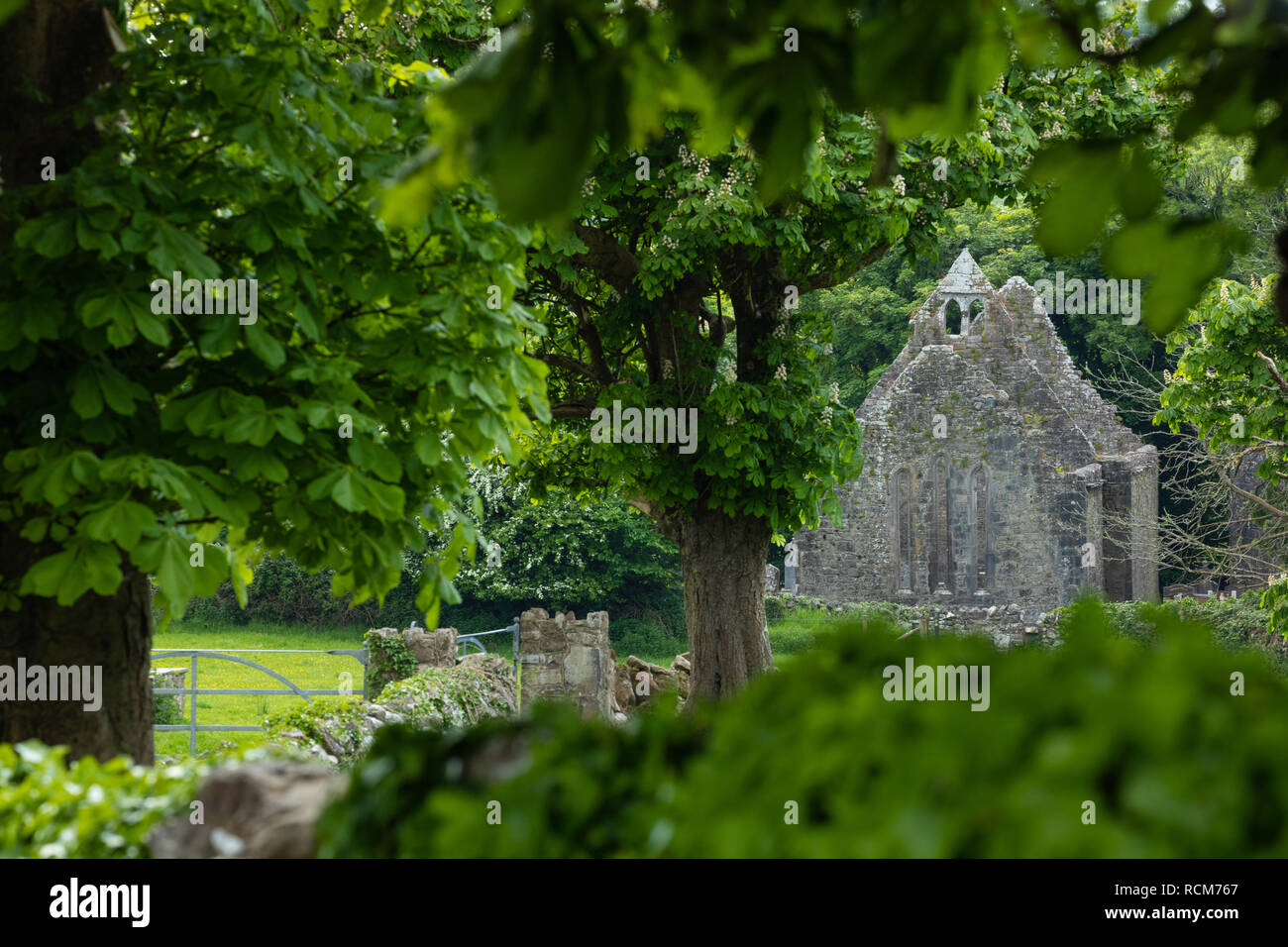 Dysert church hi-res stock photography and images - Alamy