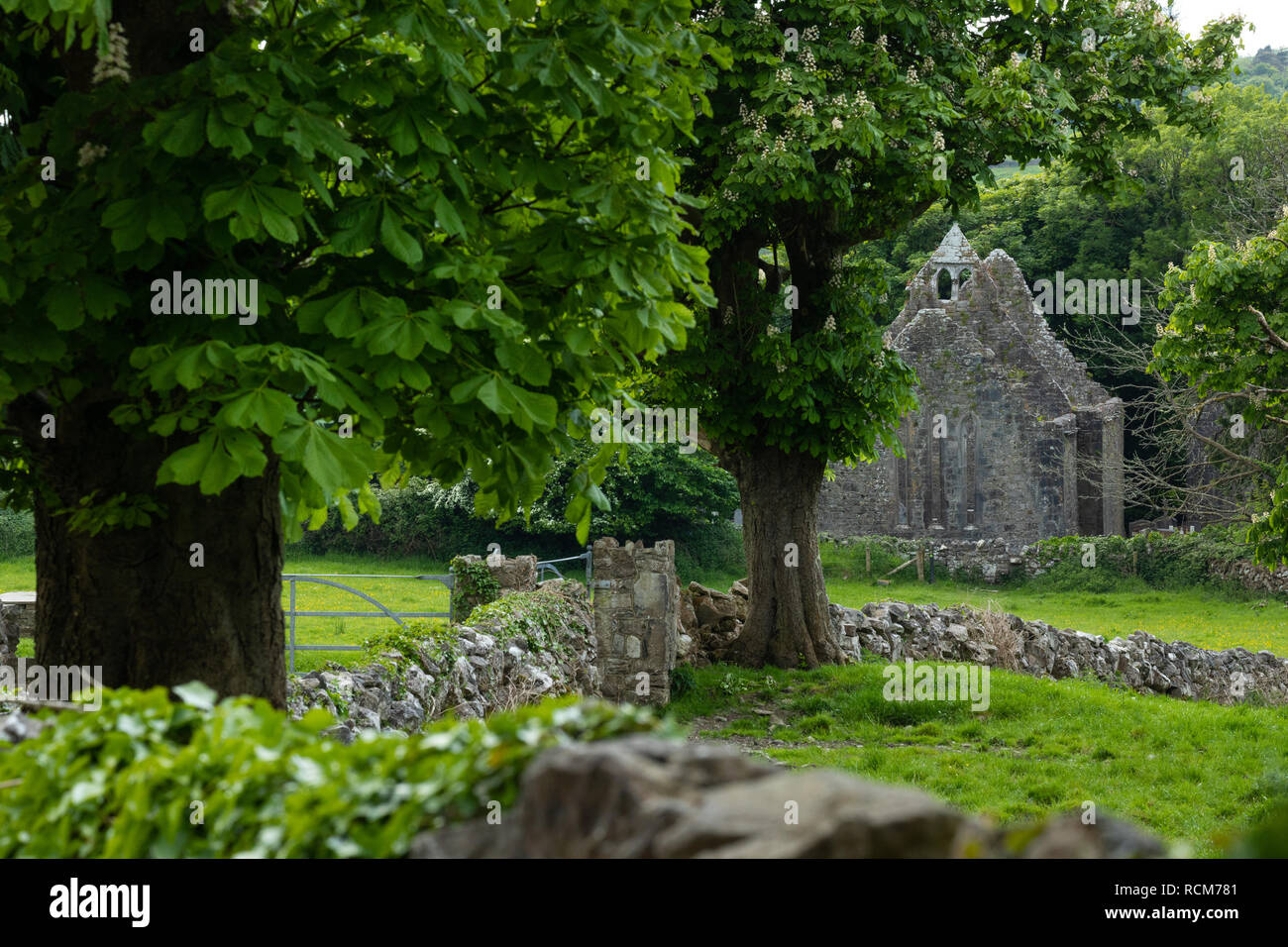Dysert church hi-res stock photography and images - Alamy