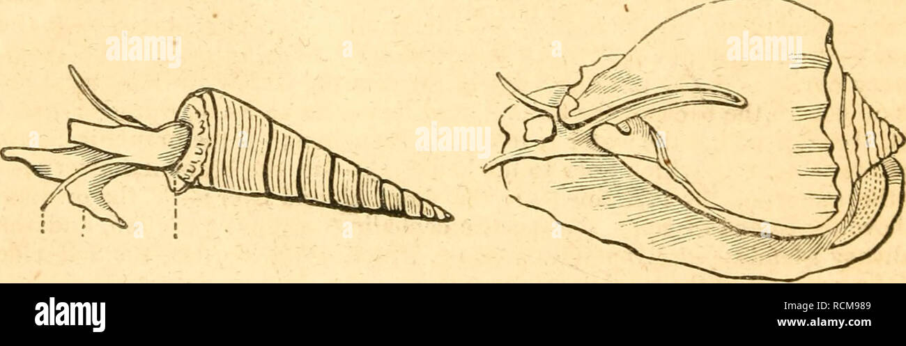 Two conical elements hi-res stock photography and images - Alamy