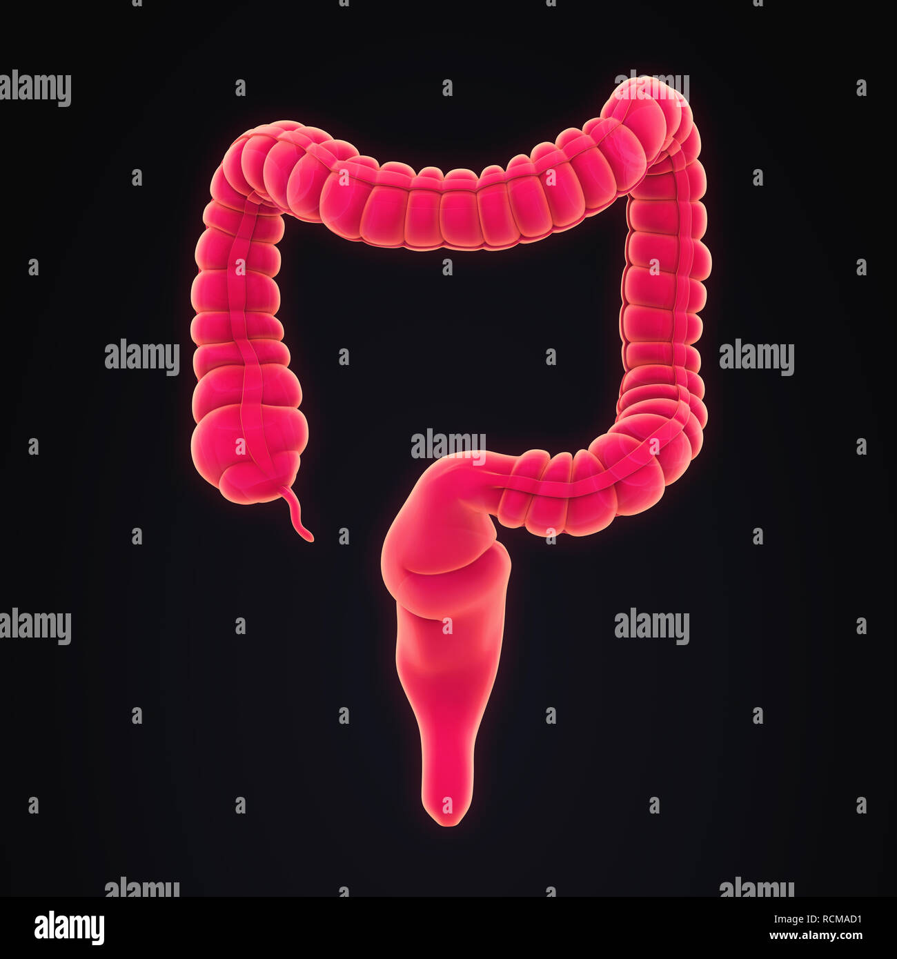 Healthy colon hi-res stock photography and images - Alamy