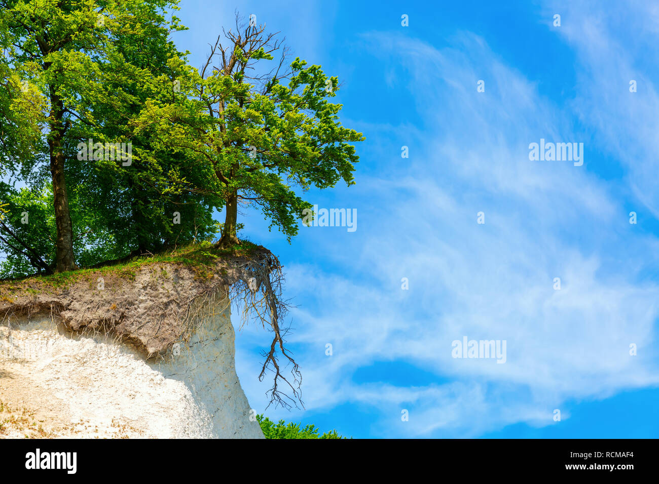 Overhanging tree hi-res stock photography and images - Alamy