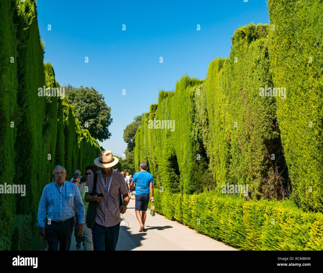 Straight hedges hi-res stock photography and images - Alamy