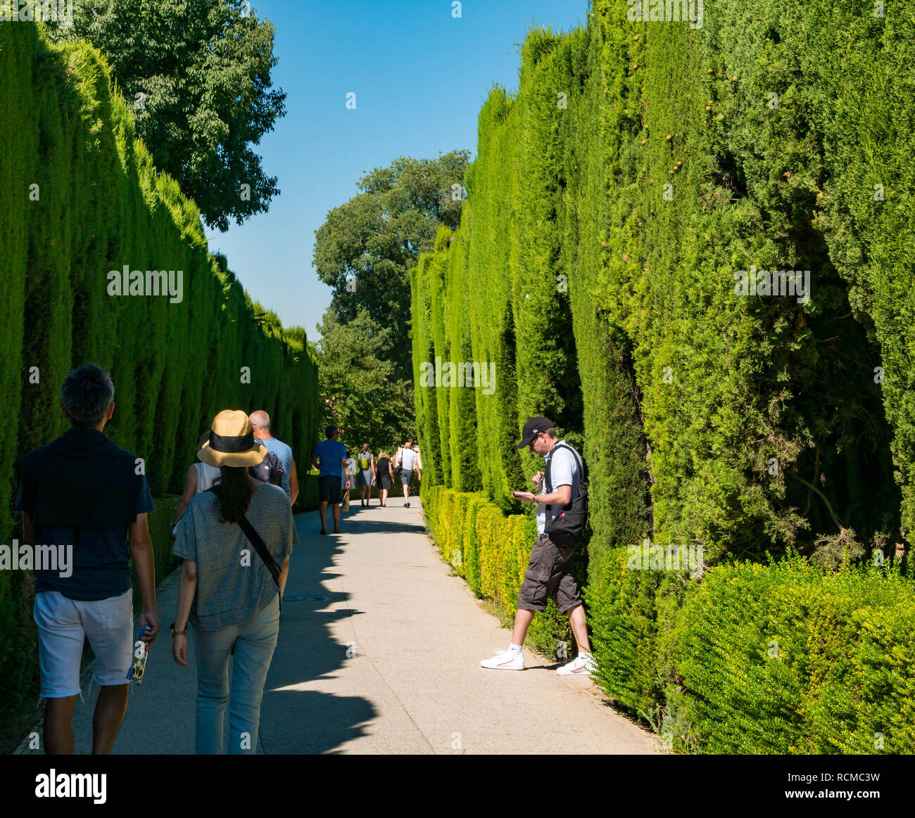 Straight hedges hi-res stock photography and images - Alamy