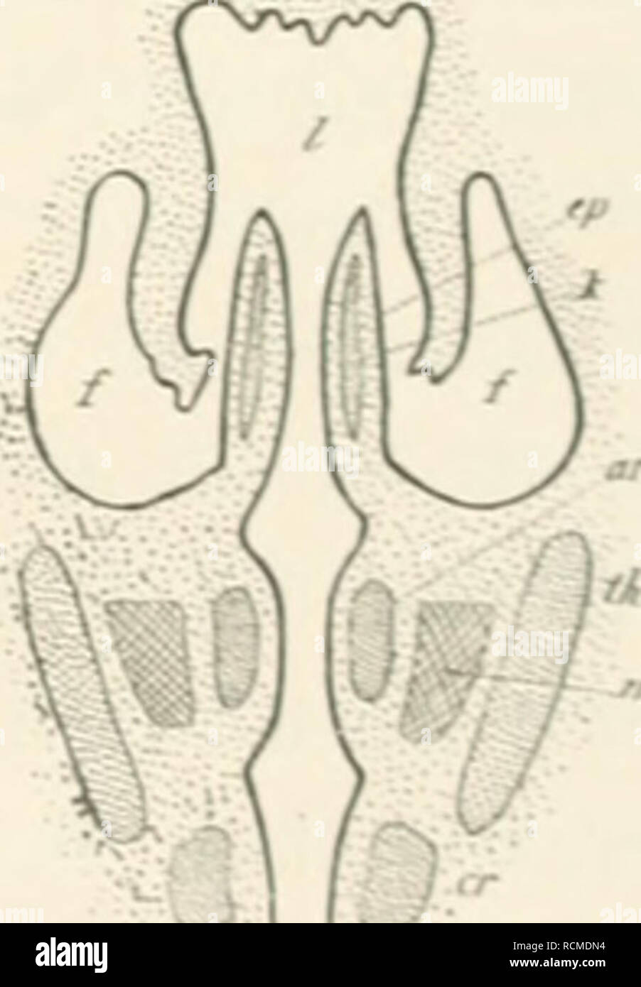 Texte ränder hi-res stock photography and images - Alamy