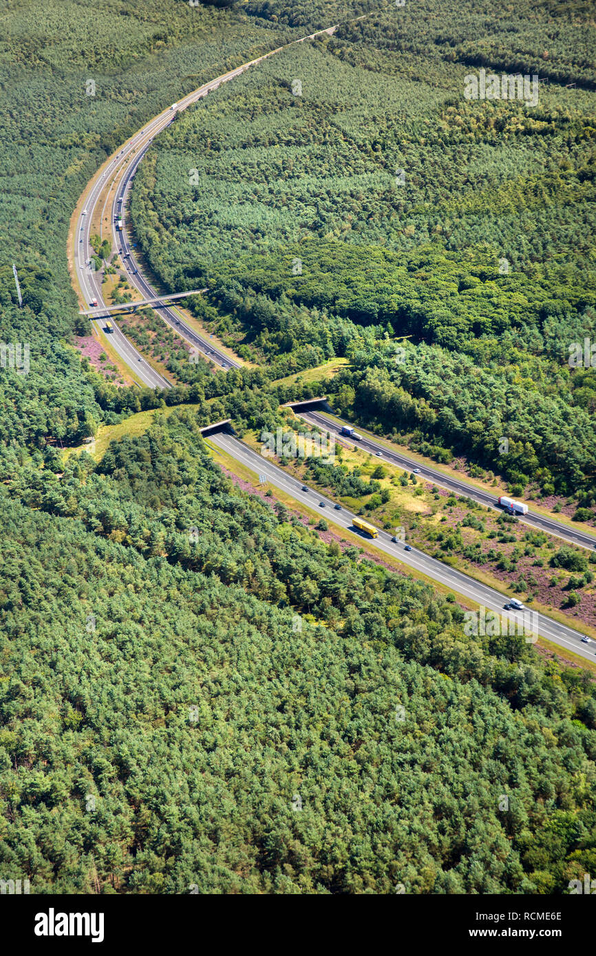 The Netherlands, Kootwijk. Motorway and eco crossover for fauna ...
