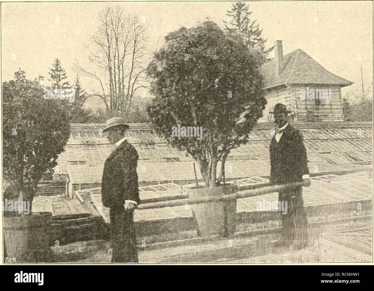 Kein rasen hi-res stock photography and images - Alamy