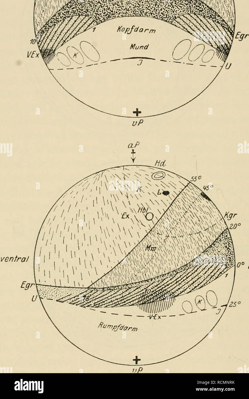 . The elements of experimental embryology. Embryology, Experimental ...