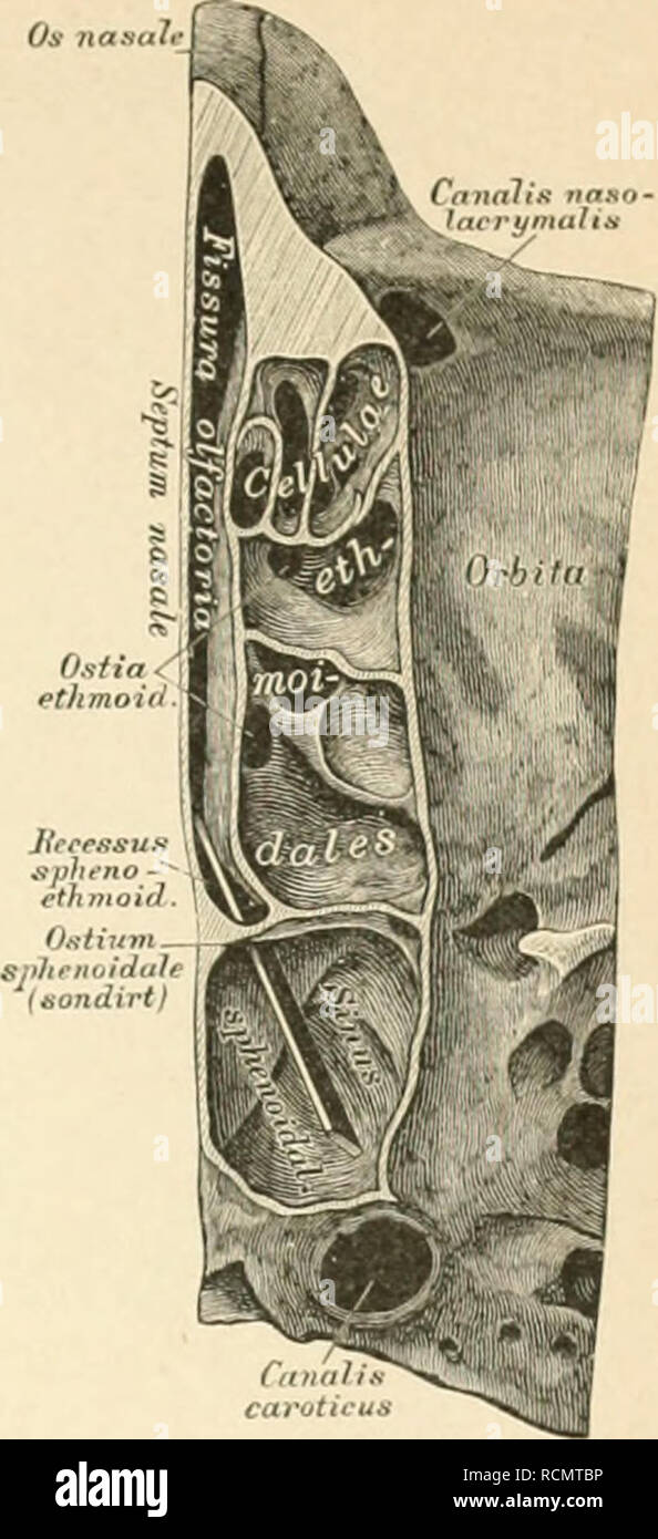 Entfernung der menschen hi-res stock photography and images - Alamy