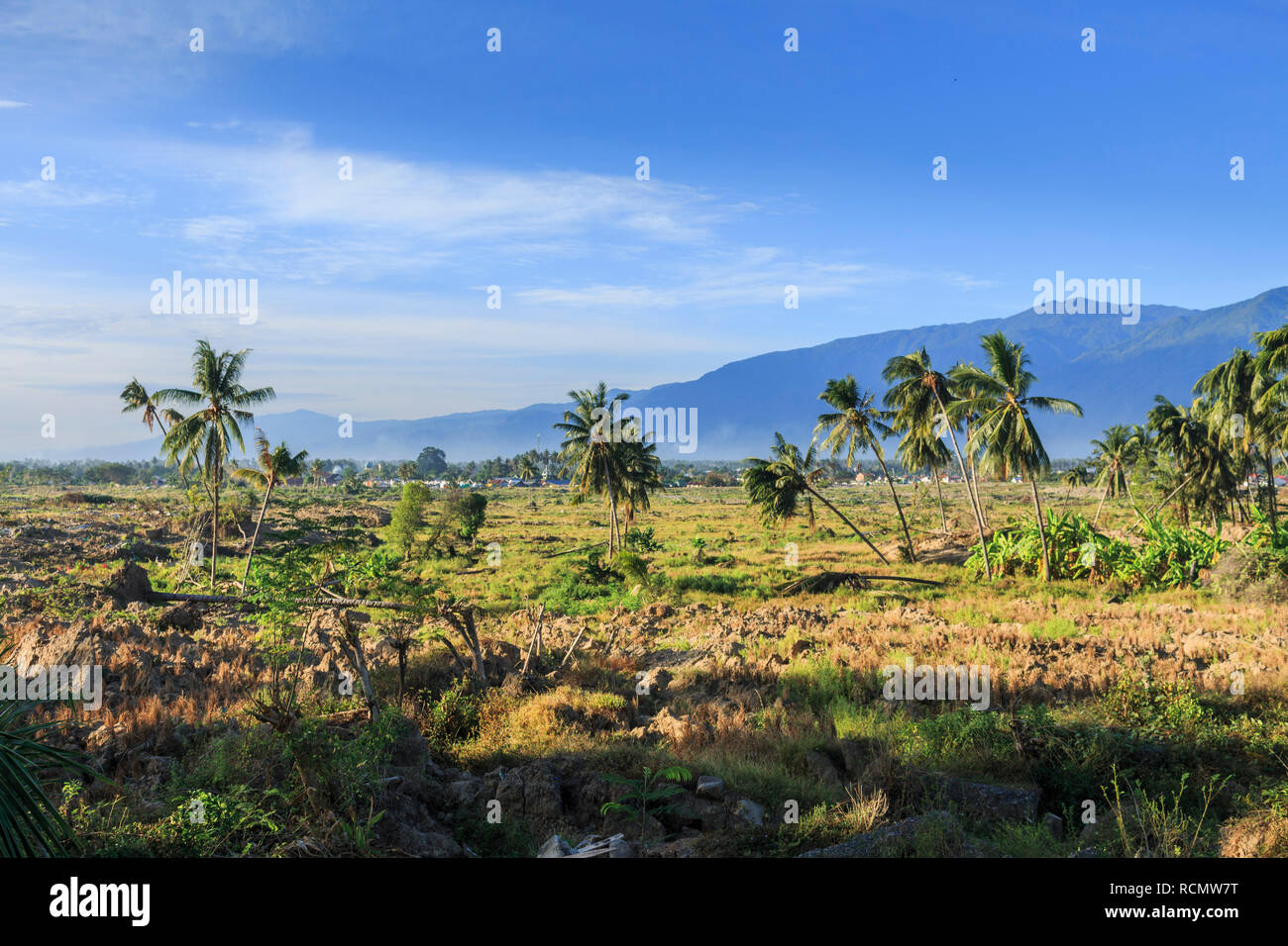 The impact of the damage caused by the earthquake and liquefaction ...