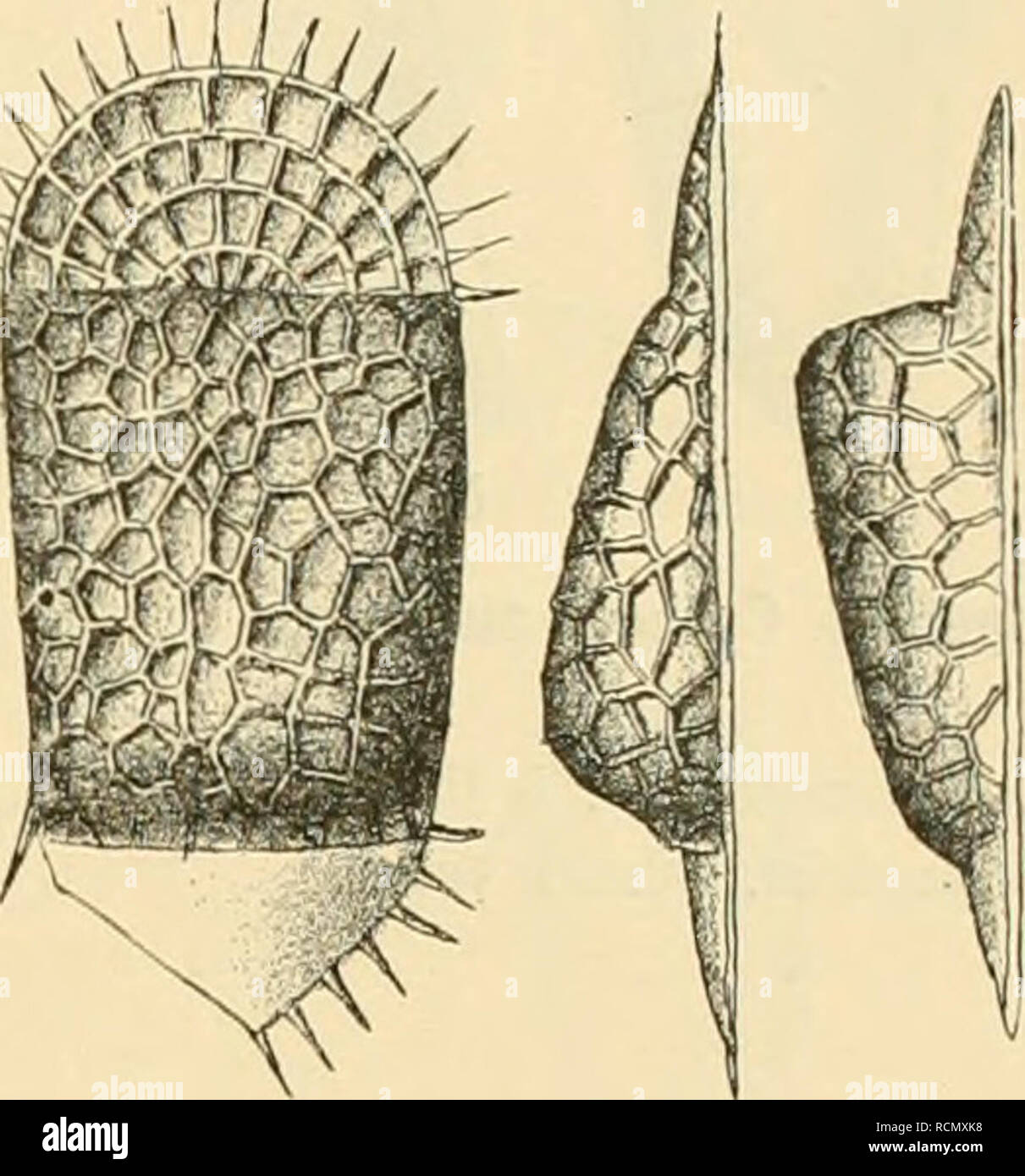 Verst rt hi-res stock photography and images - Alamy