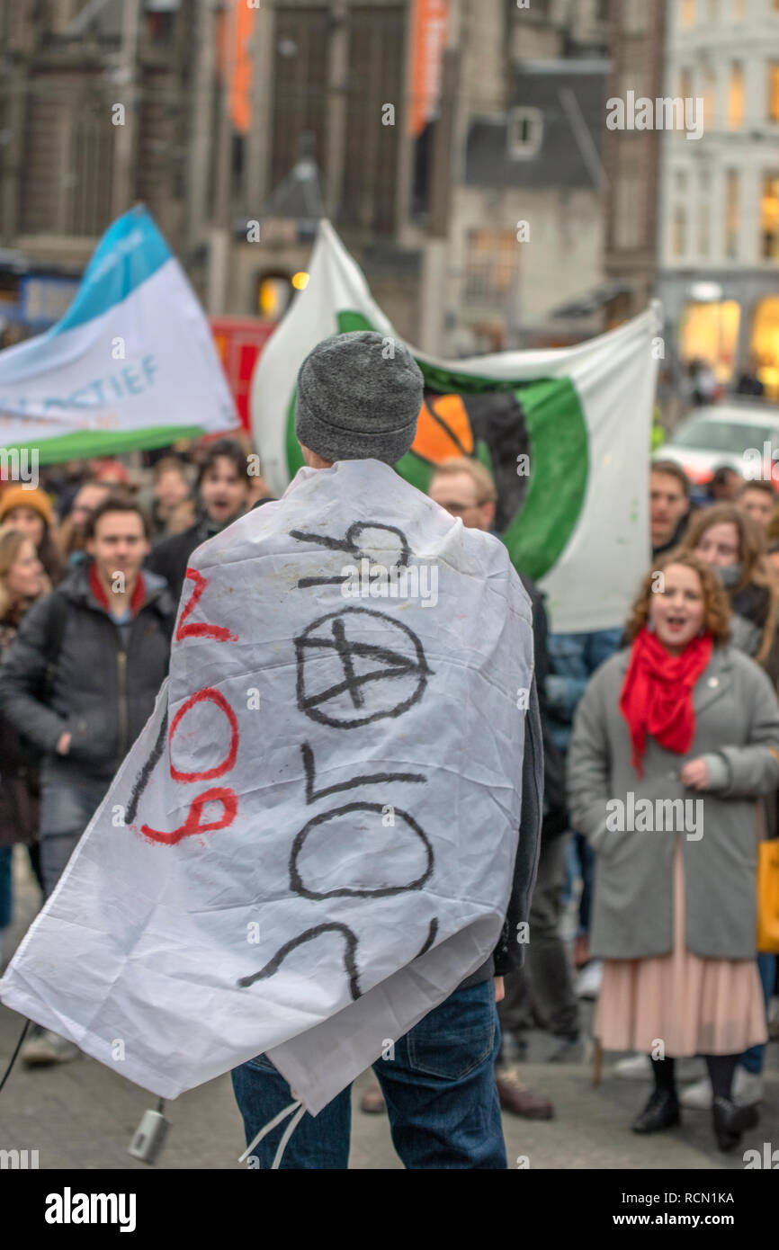 1 shell square hi-res stock photography and images - Alamy