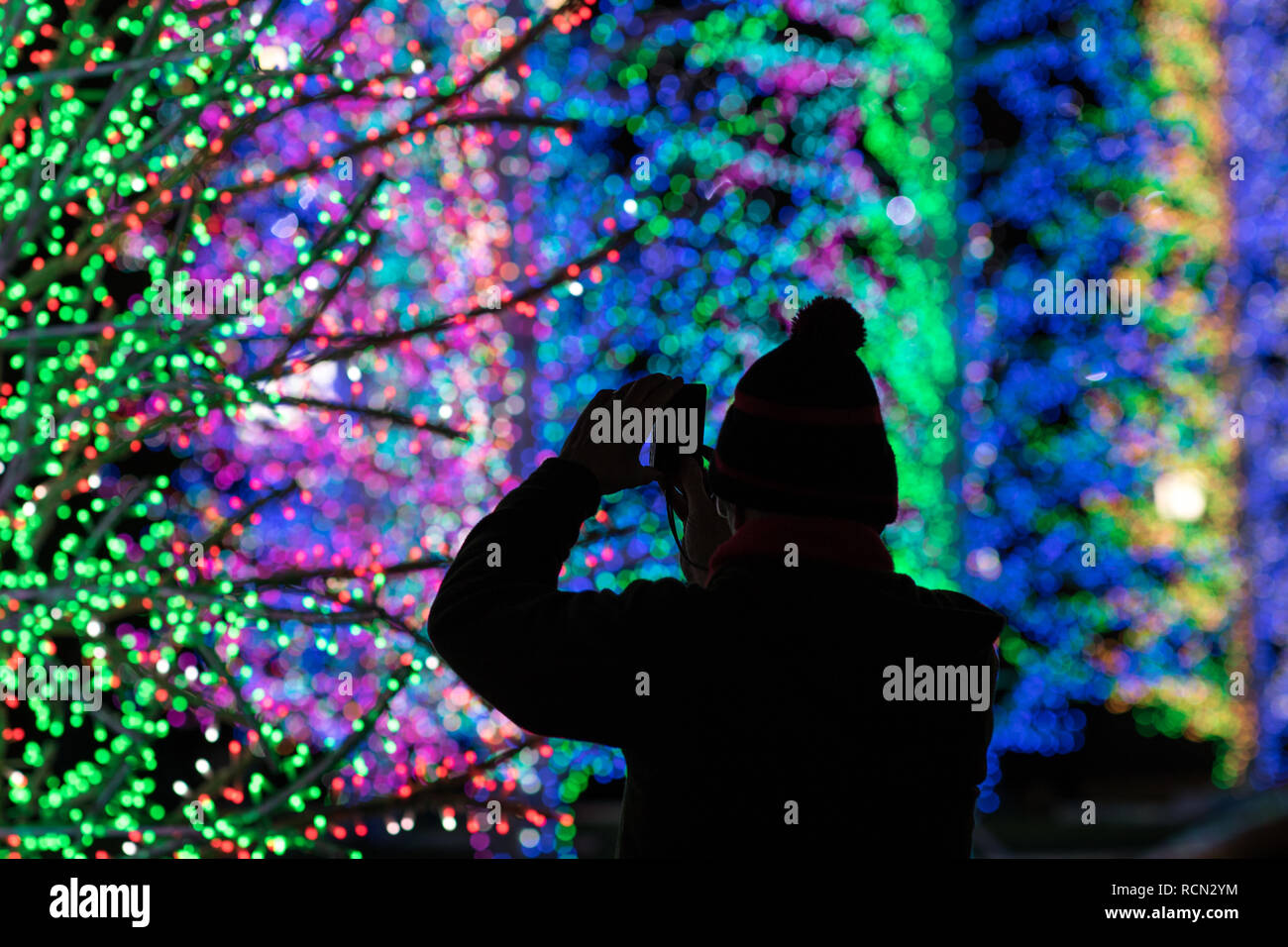 Canary Wharf, London, UK, 15th January, 2019. Sasha Trees installation ...