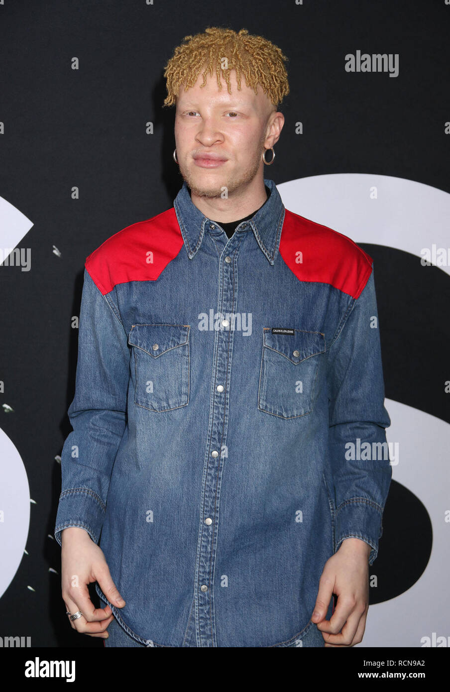 New York City, New York, USA. 15th Jan, 2019. Actor SHAUN ROSS attends ...