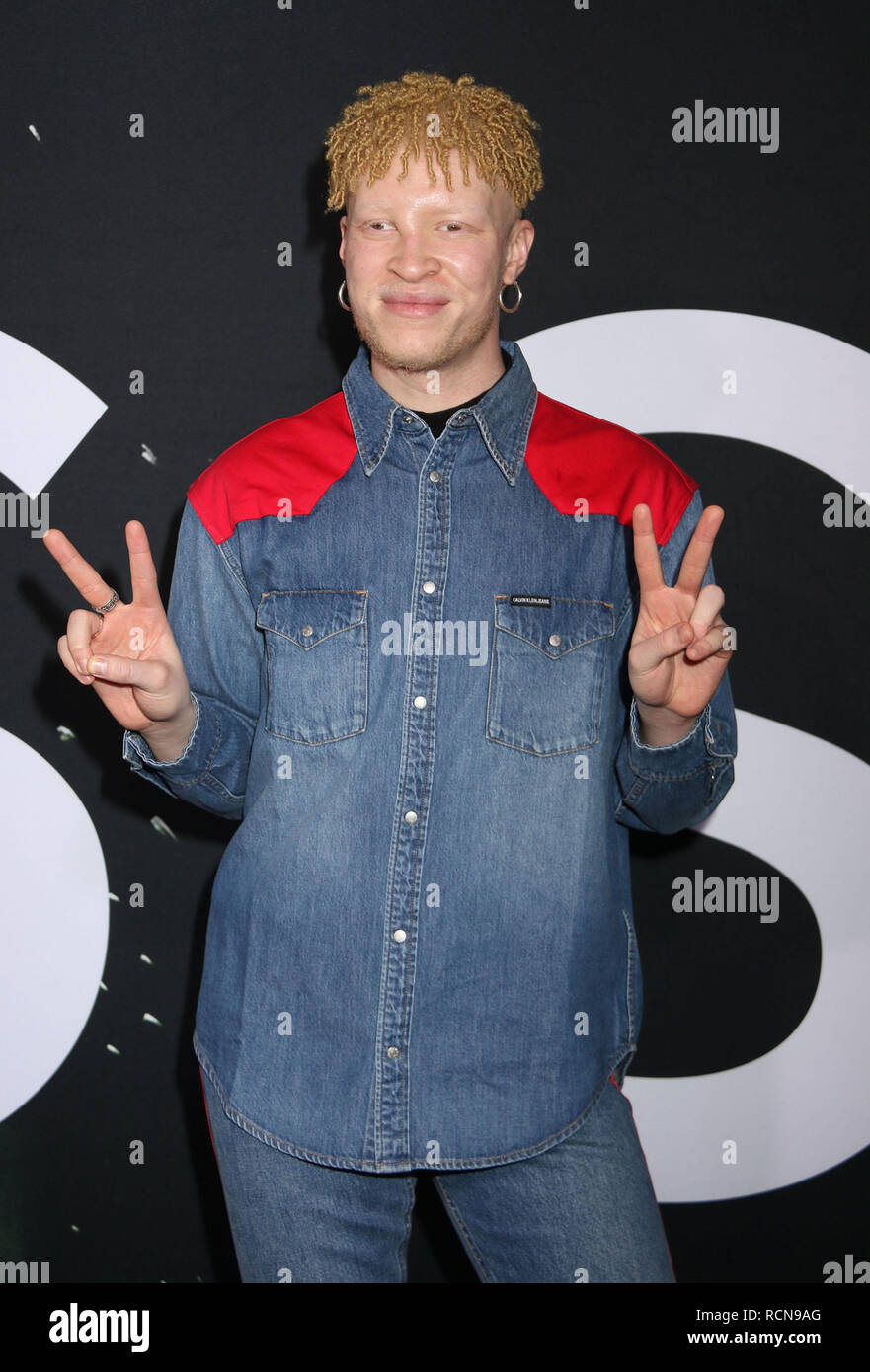 New York City, New York, USA. 15th Jan, 2019. Actor SHAUN ROSS attends ...