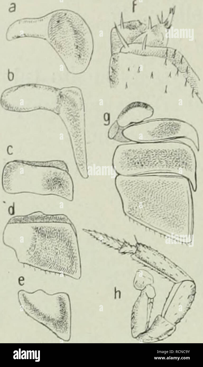 Oblongo interior hi-res stock photography and images - Alamy