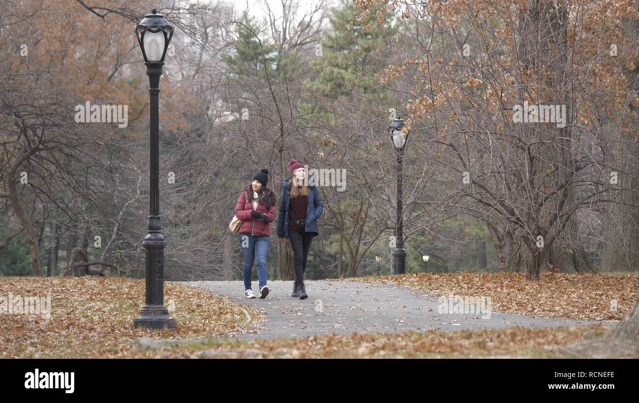 Central Park New York is a wonderful place to relax and extended walks ...