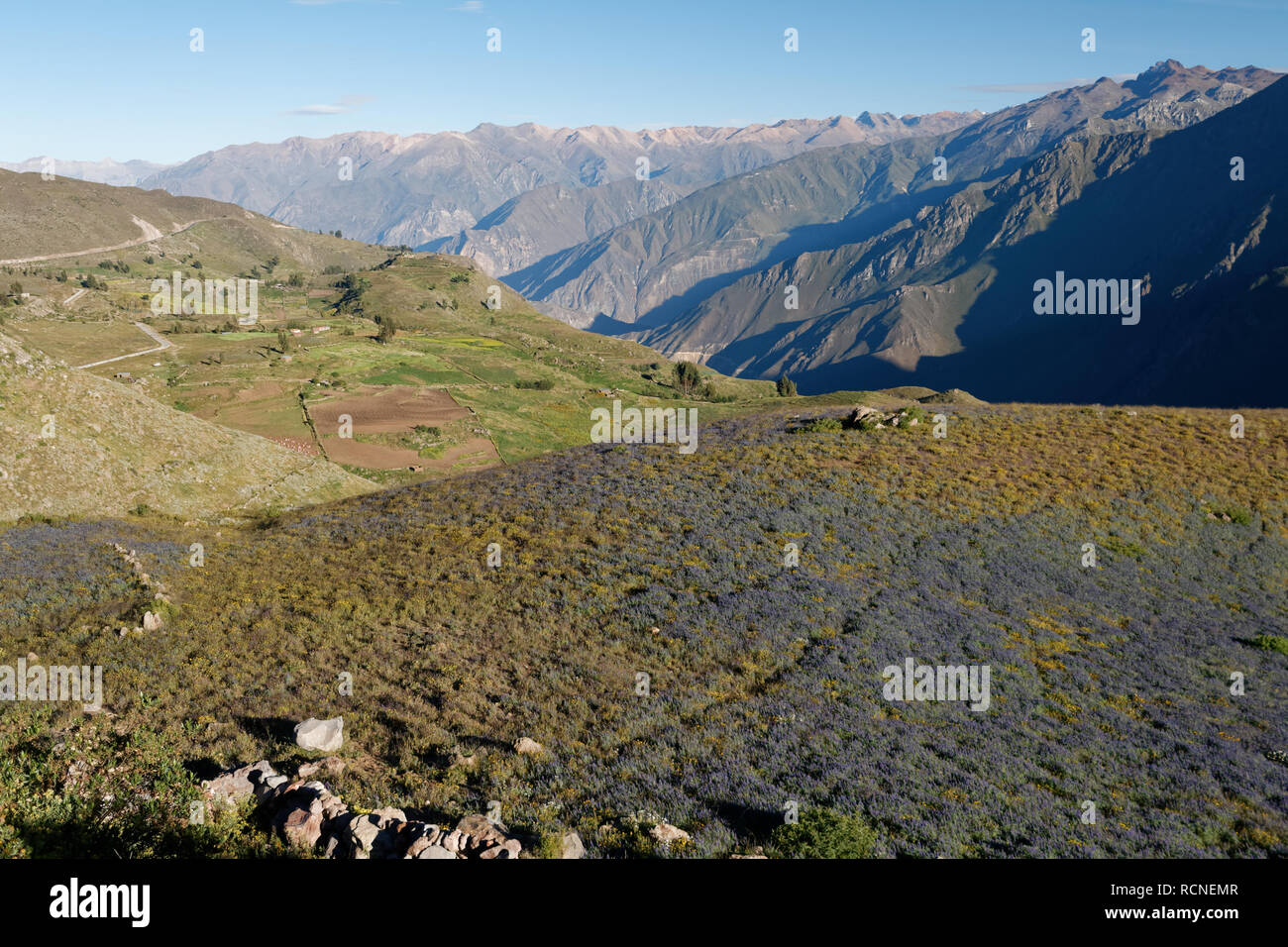Colca Canyon in Peruvian Andes Stock Photo - Alamy