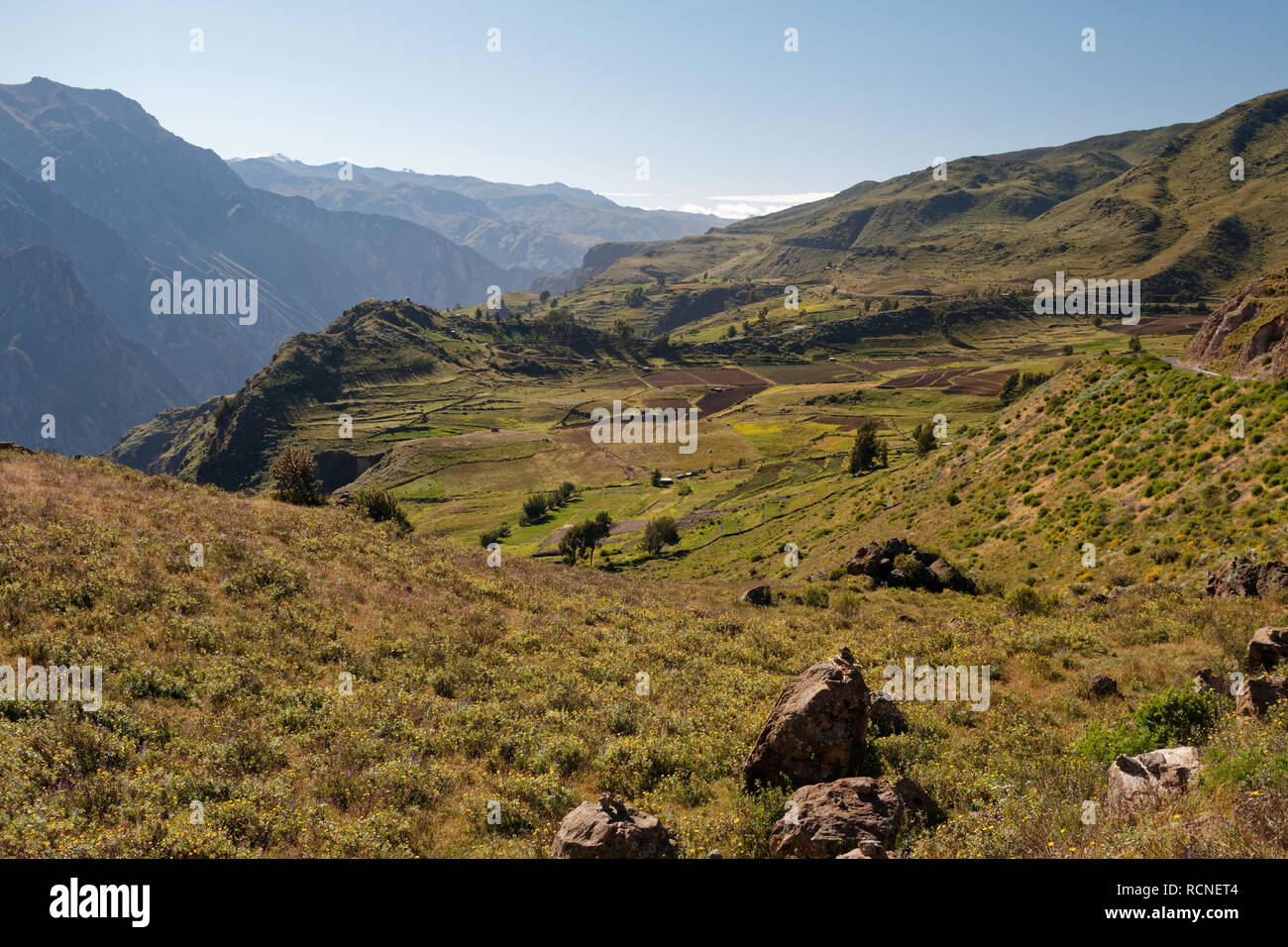 Colca Canyon in Peruvian Andes Stock Photo - Alamy