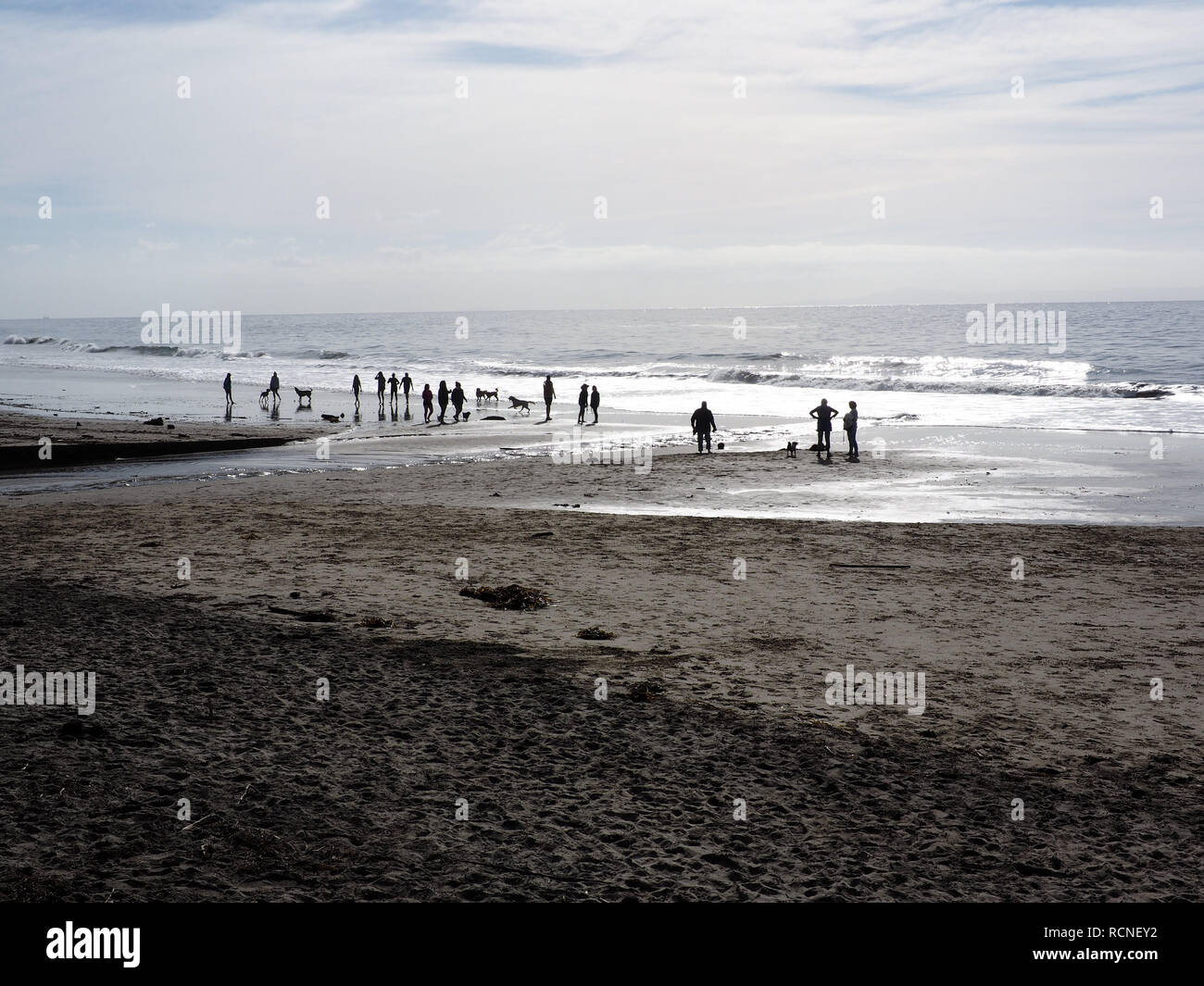 New golden beach hi-res stock photography and images - Alamy