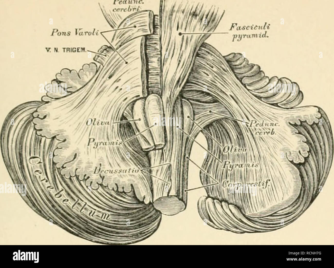Pyramide mit menschen hi-res stock photography and images - Alamy