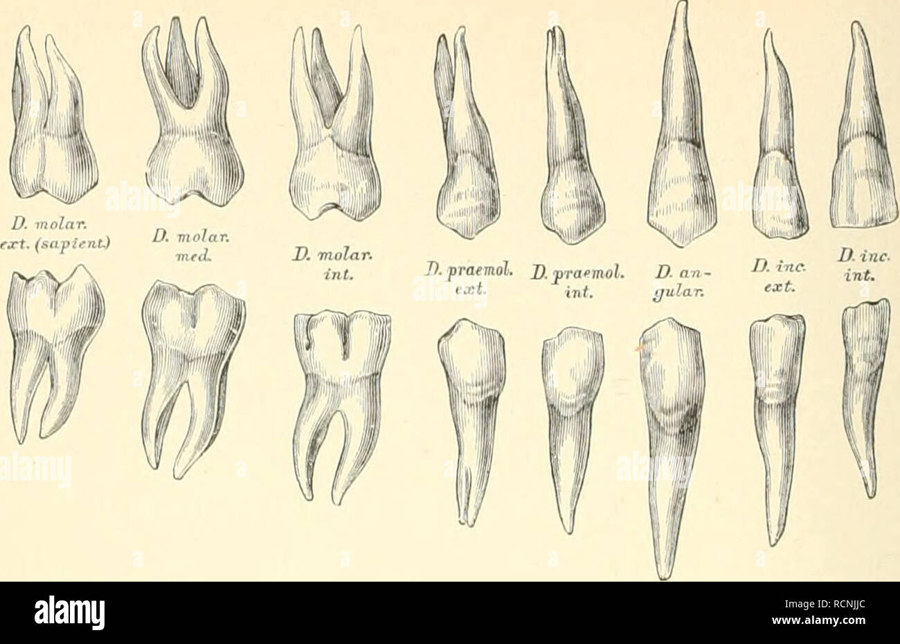 Facetten Stock Photos & Facetten Stock Images - Alamy
