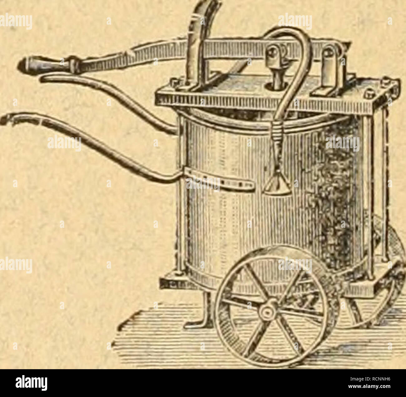 Wintergarten palmen hi-res stock photography and images - Alamy