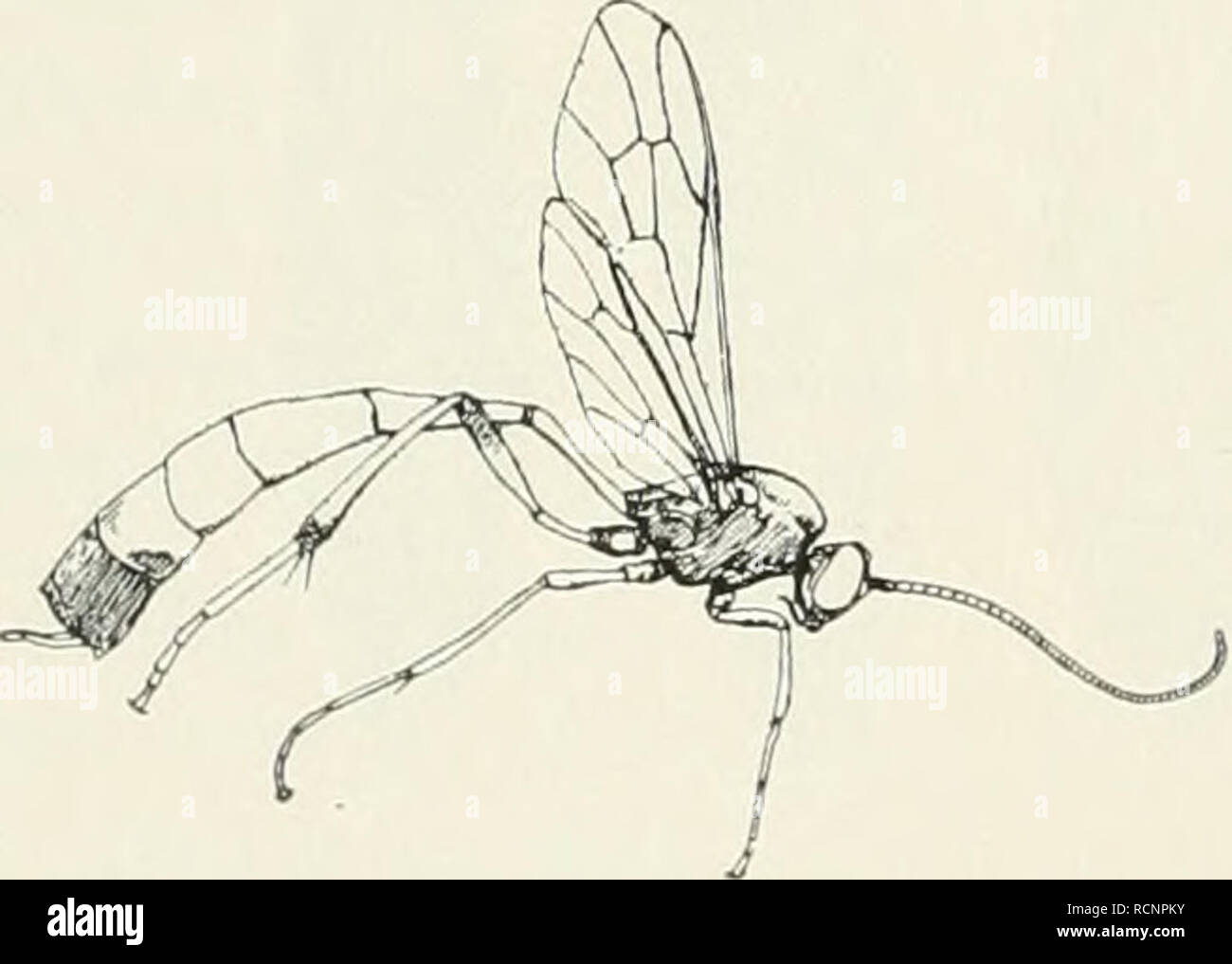 See zum herumlaufen hi-res stock photography and images - Alamy