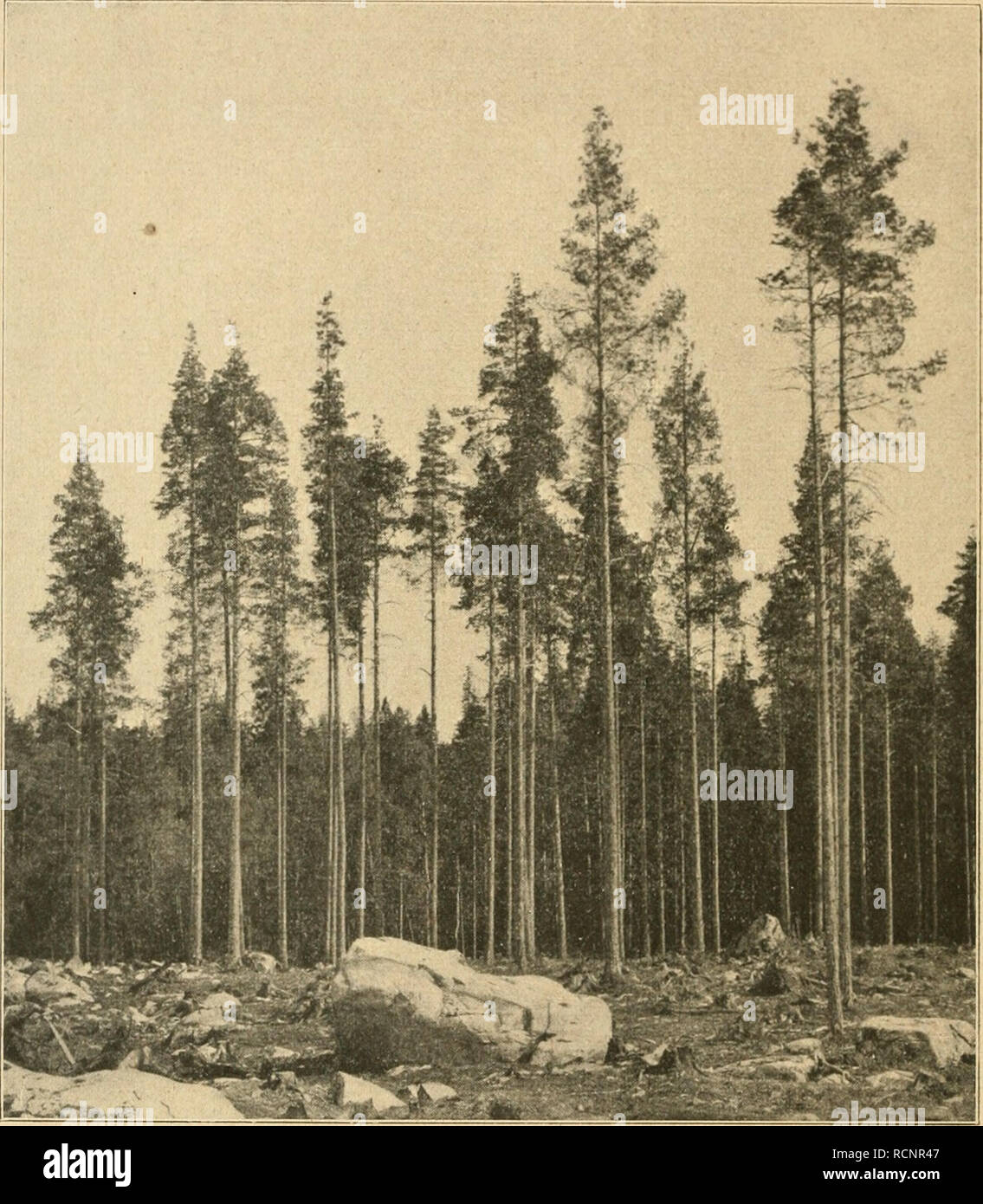 Beschleunigt den tod hi-res stock photography and images - Alamy