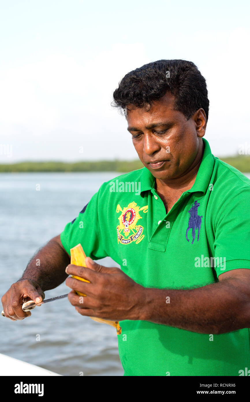 Ceylon lagoon hi-res stock photography and images - Alamy