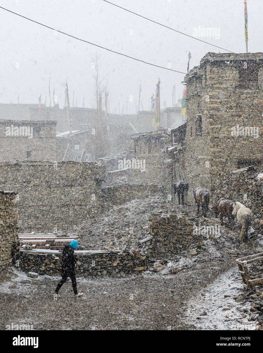 Snow at circuit hi-res stock photography and images - Alamy