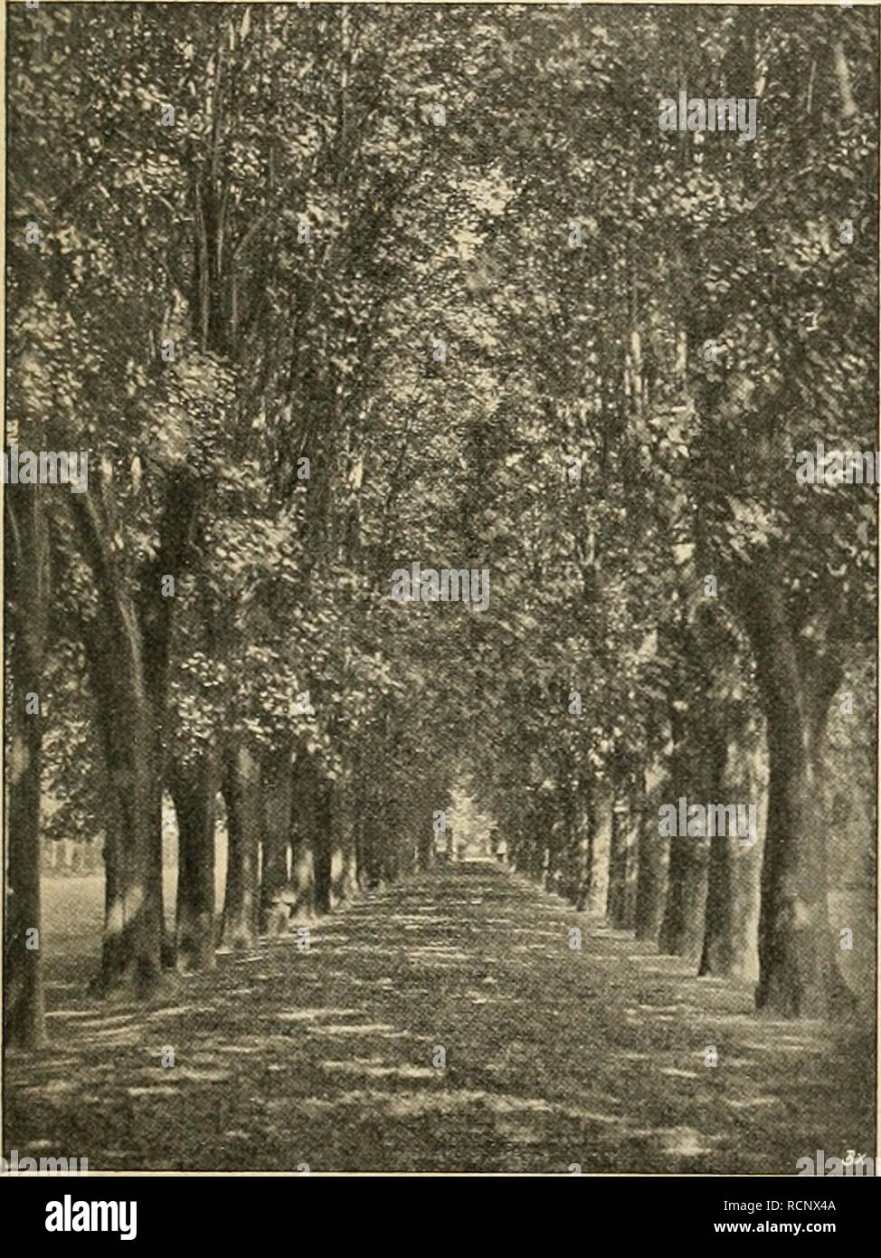 Das verbannen hi-res stock photography and images - Alamy