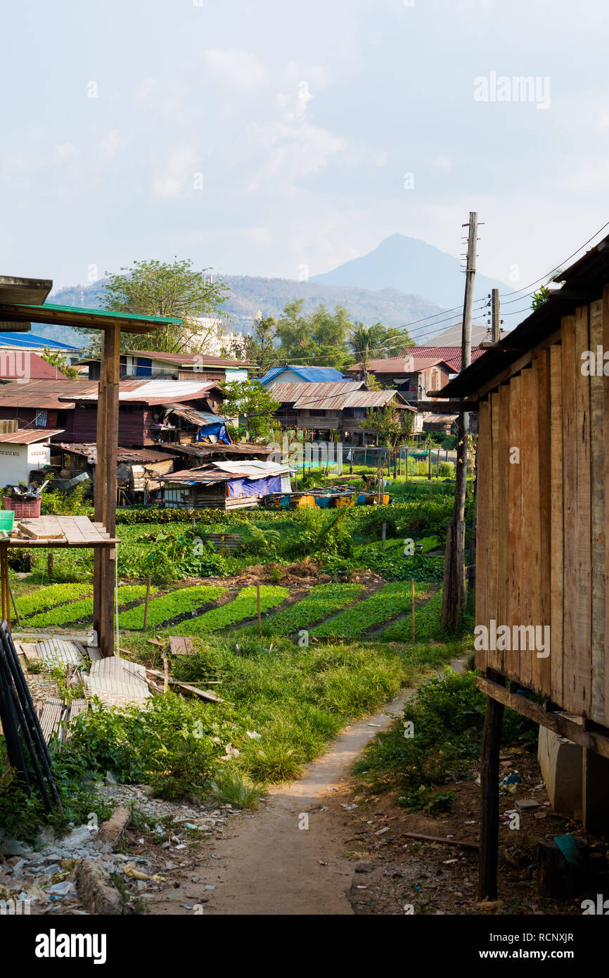 Woutistic hi-res stock photography and images - Alamy