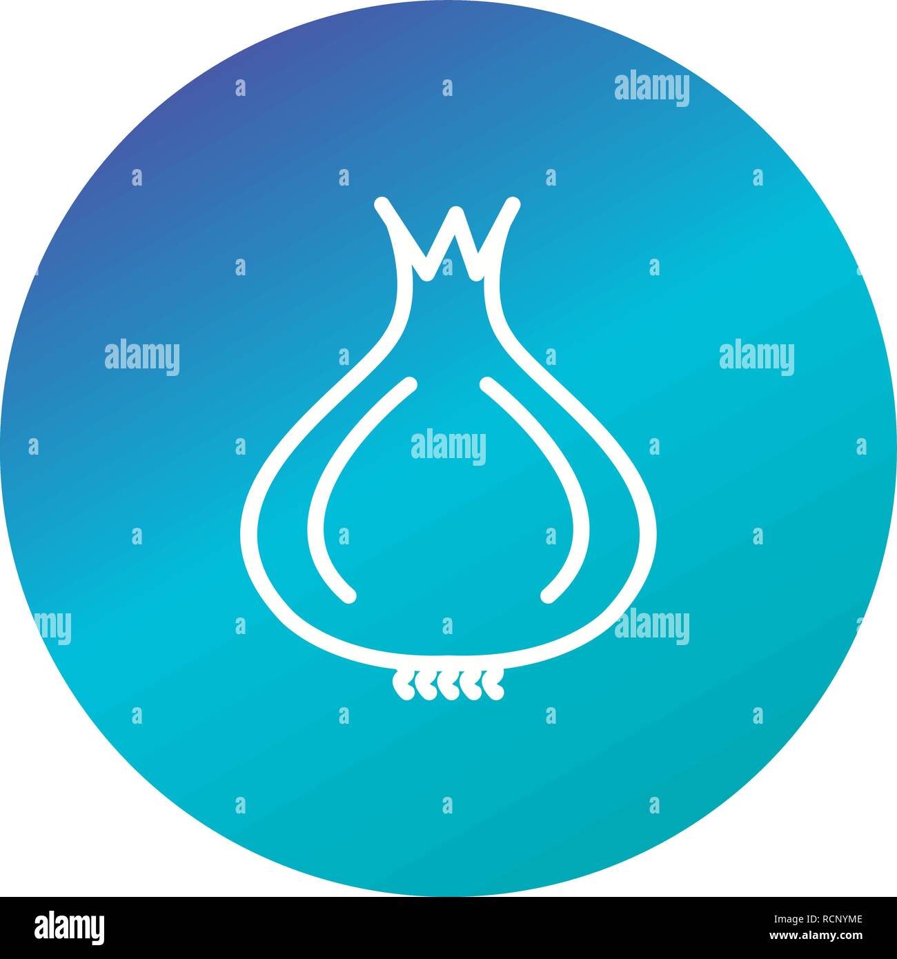 Vector Onion Icon Stock Vector Image & Art - Alamy