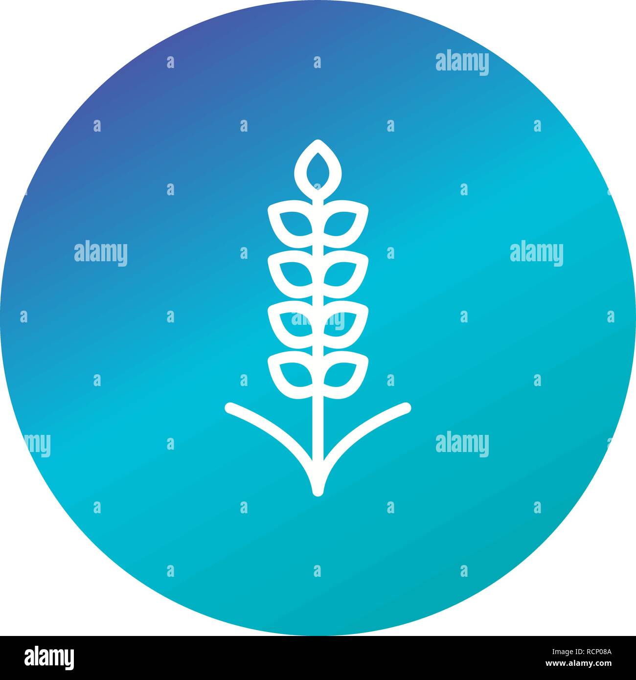 Vector Grain Icon Stock Vector Image & Art - Alamy