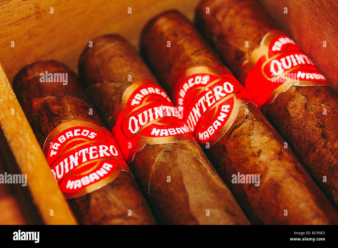 Cuban Cigar background. Traditional handmade Quintero brand cigars ...