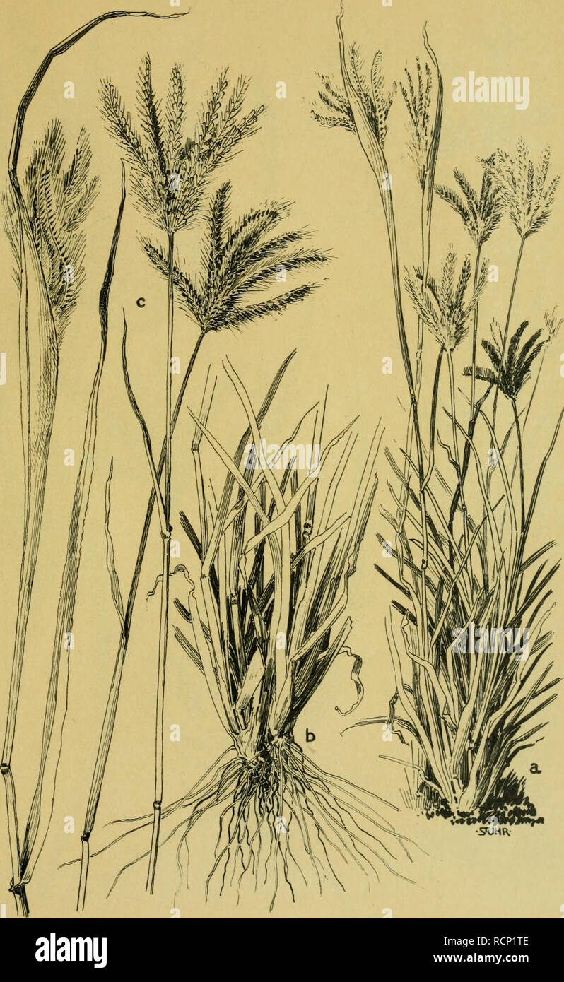 Landwirtschafts gesellschaft hi-res stock photography and images - Alamy