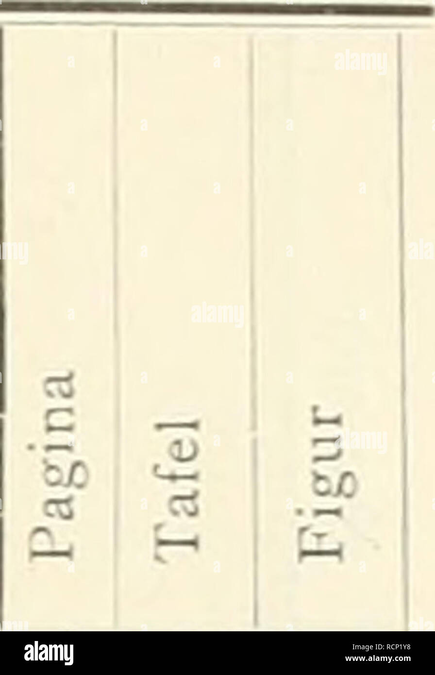 . Die Cephalopodenfauna der Reiflinger Kalke. Cephalopoda, Fossil. [21 ...