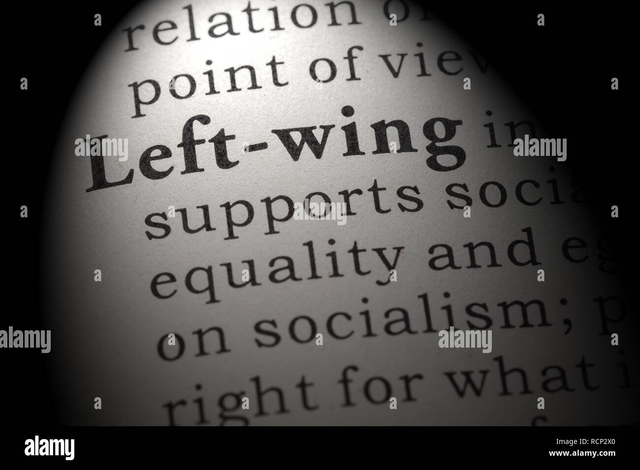 Fake Dictionary, Dictionary definition of the word Left-wing. including ...