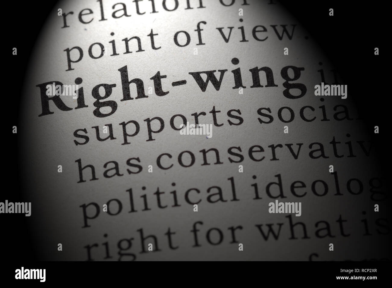 Fake Dictionary, Dictionary definition of the word Right-wing ...