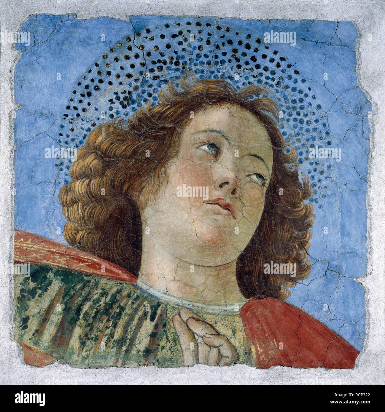 Head Of A Young Apostle. Museum: Pinacoteca Vaticana, Rome. Author: MELOZZO DA FORLI Stock Photo ...