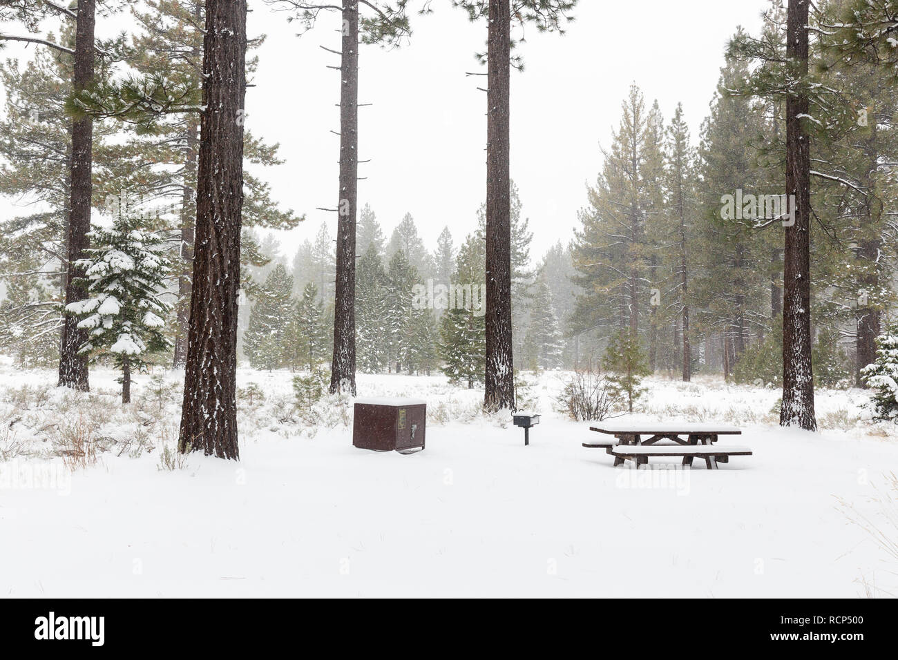 An empty campsite covered in snow at Fallen Leaf Campground. The ...