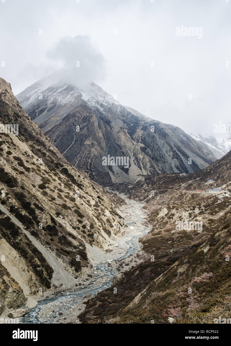 Yak kharka hi-res stock photography and images - Alamy