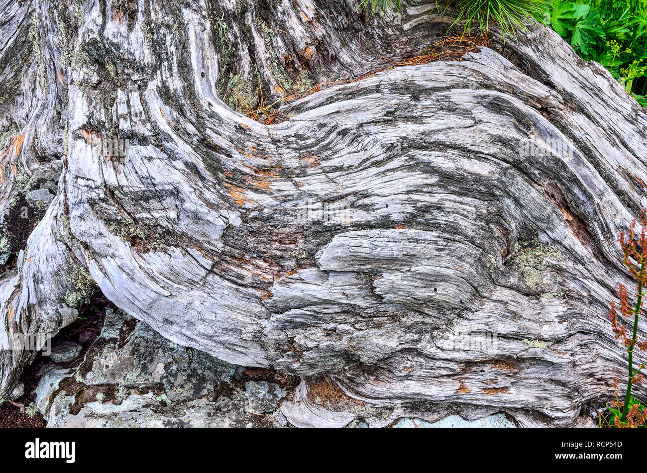 Weather Beaten Wood High Resolution Stock Photography and Images - Alamy