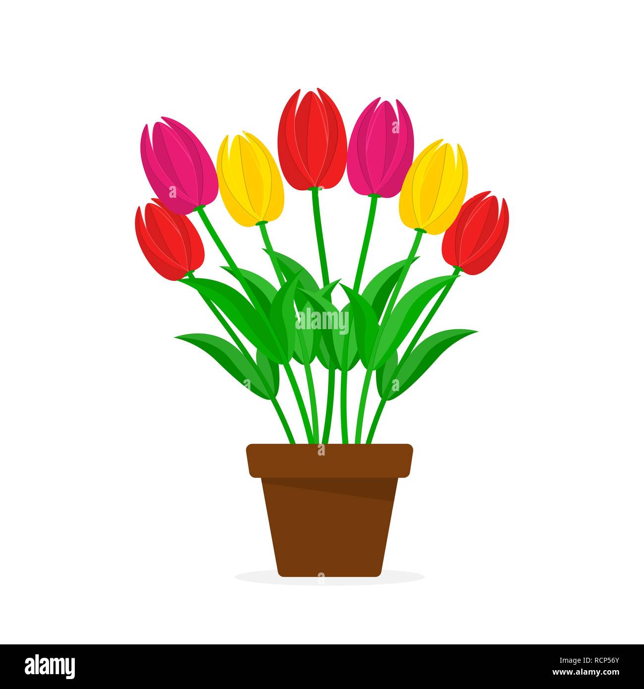 Bouquet of colorful tulips in the pot. Vector illustration. A pot with ...