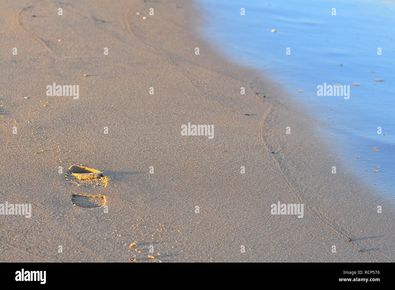 Boot, shoe prints in the sand with sun light. Footmark on Baltic beach ...