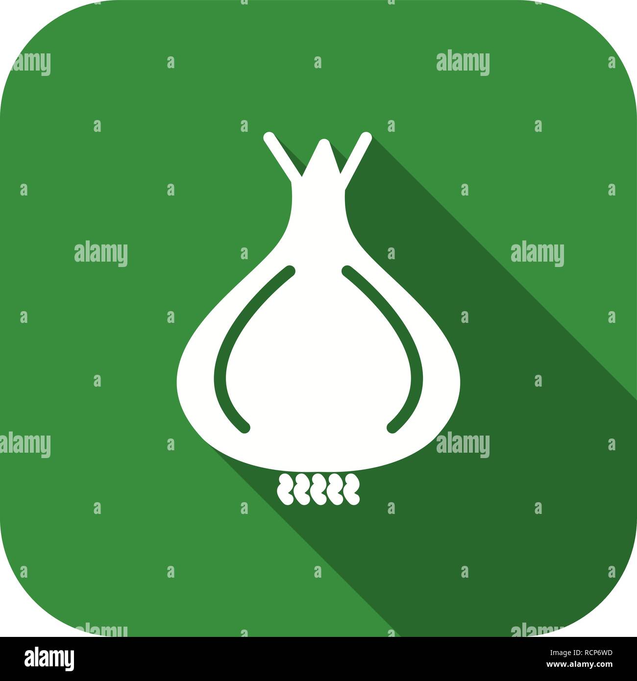 Vector Onion Icon Stock Vector Image & Art - Alamy