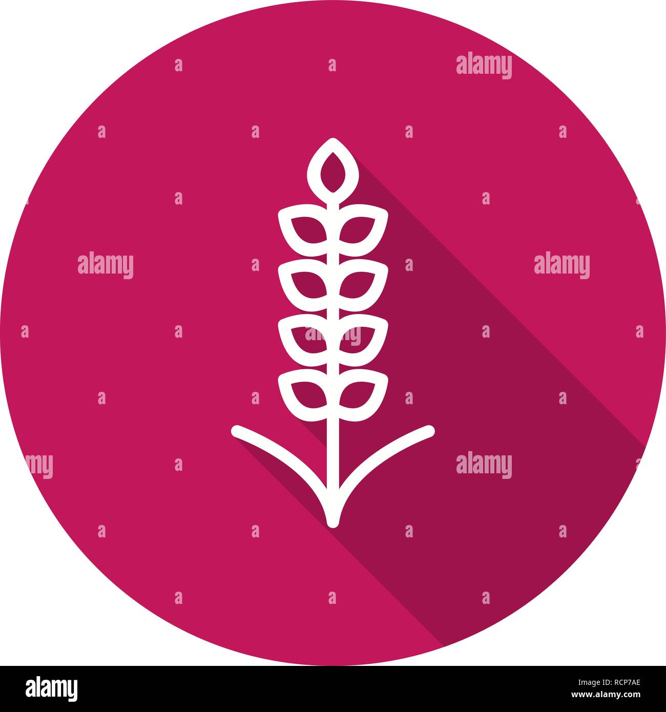 Vector Grain Icon Stock Vector Image & Art - Alamy