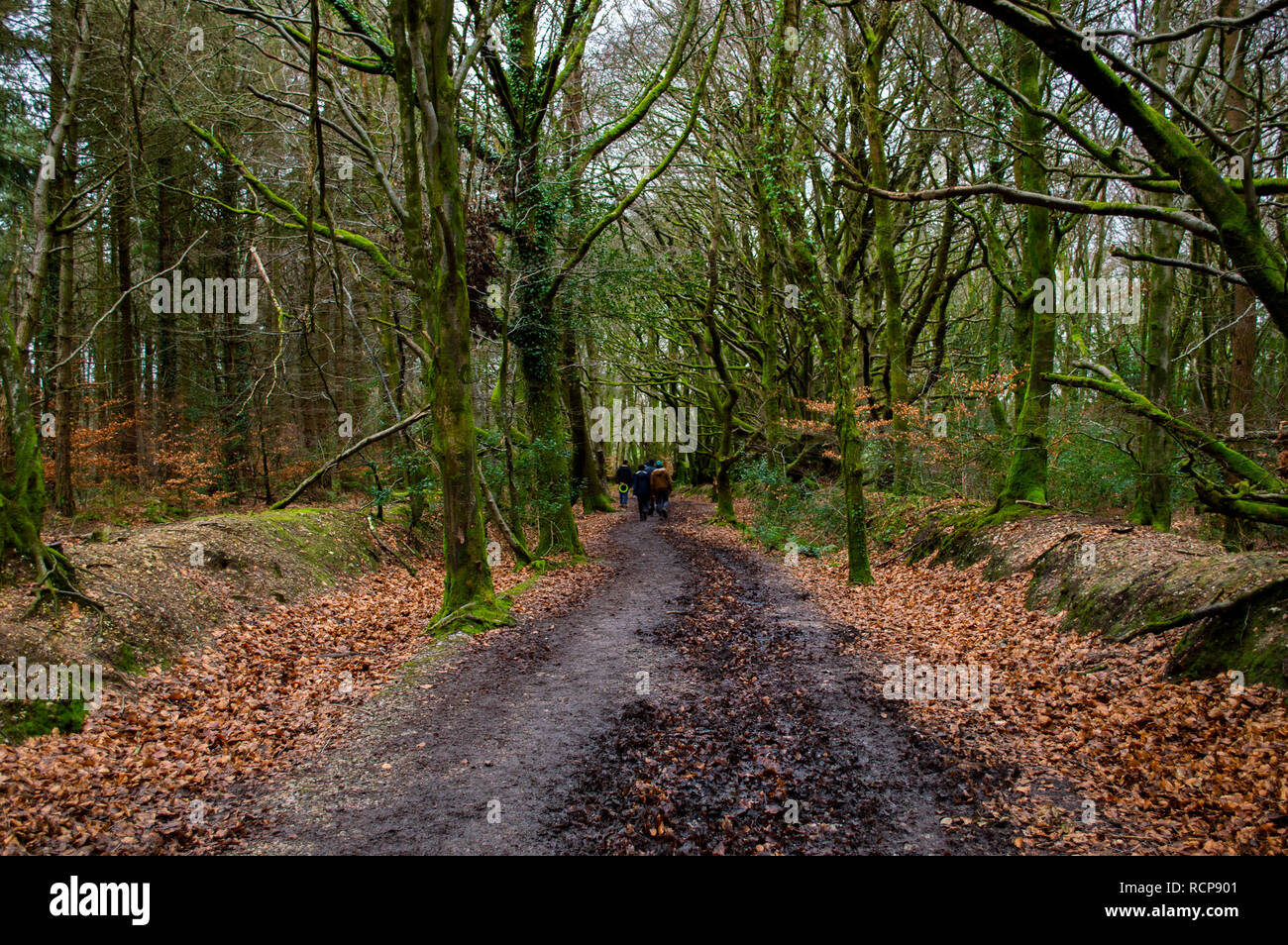 British Countryside High Resolution Stock Photography and Images - Alamy