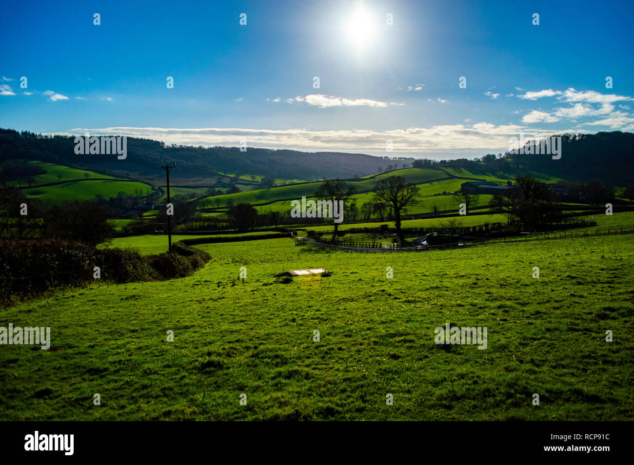 The English countryside in Devon, UK Stock Photo - Alamy